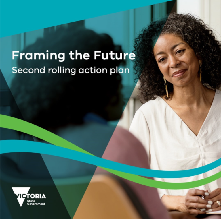 Framing the Future: Second Rolling Action Plan | NIFVS